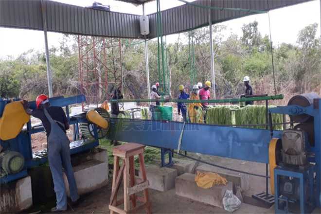 Automatic Sisal Fiber Extraction Machine, Sisal Decorticator Machine ...