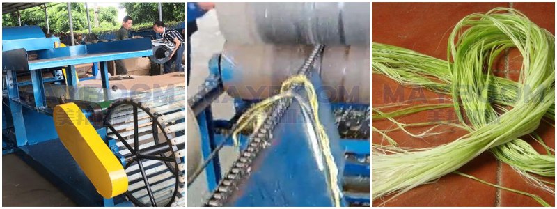 Automatic Pineapple Leaf Fiber Extraction Machine Extracting Machine